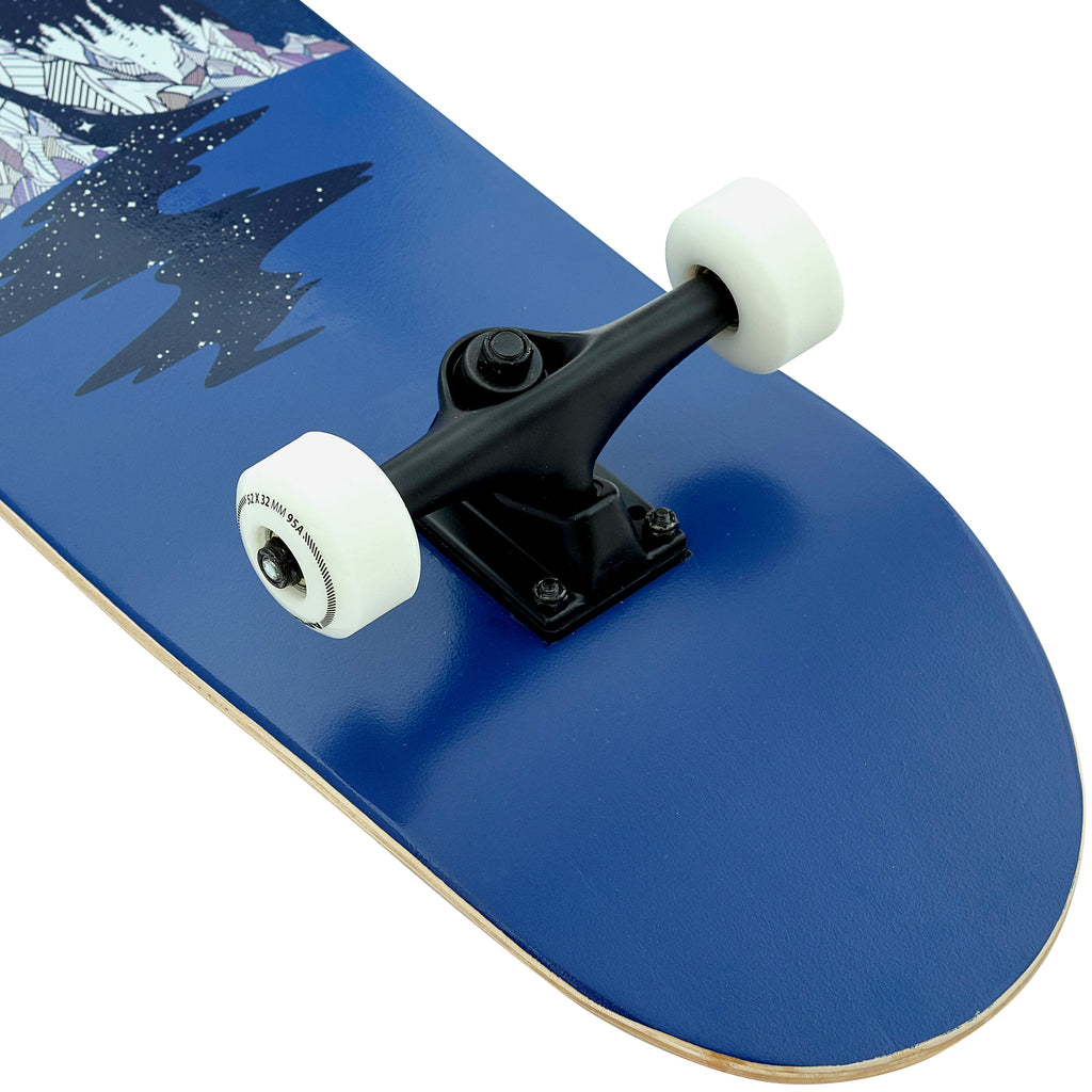 Apollo Skateboards for Adults Teens and Kids - 31 inch Complete ...